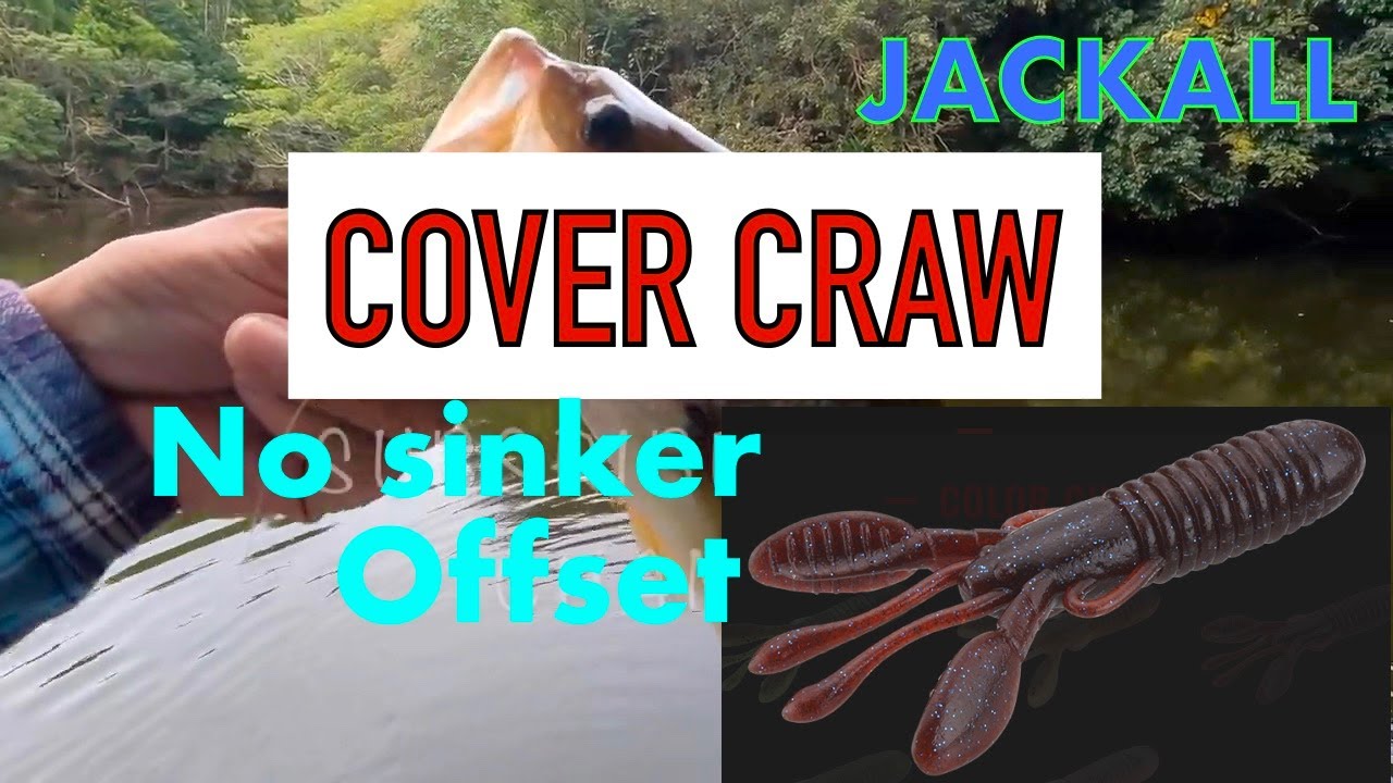 【JACKALL】COVER CRAW 3 inch weightless rig 【Bass Fishing】【Pond Fishing ...