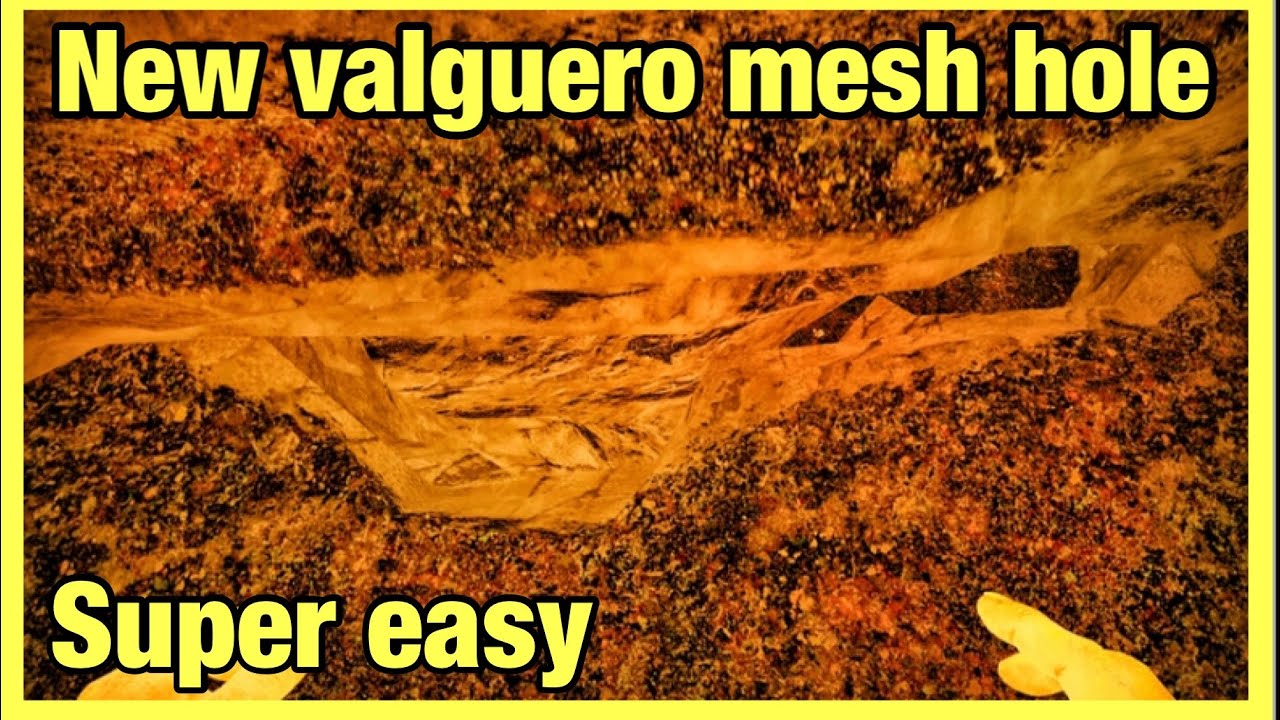NEW OFFICIAL VALGUERO MESH METHOD (ARK : SURVIVAL EVOLVED GLITCH) MESH ...