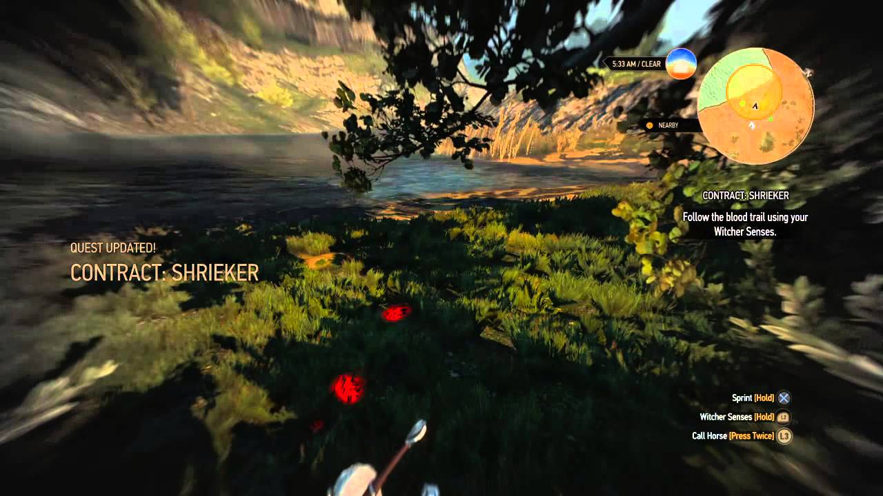 The Witcher 3: Wild Hunt, witcher contract shrieker - YouTube