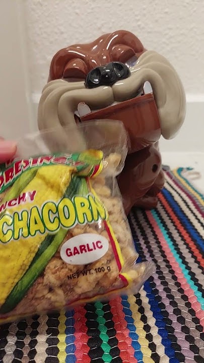 TRENDING ASMR MADDOG WANT THE CHICHACORN #asmr #asmrtriggers #shorts #satisfying #interesting ...