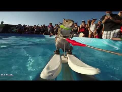 DJ Smile ★ EXTREME VIDEO #3