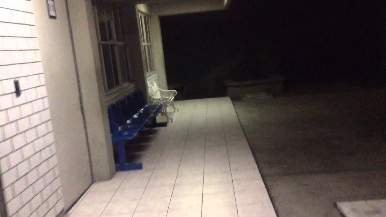 Tour nocturno COBACH 28 - YouTube