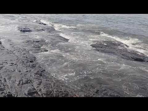 Beautiful sea beach in front of Shahrukh khan house#mumbai