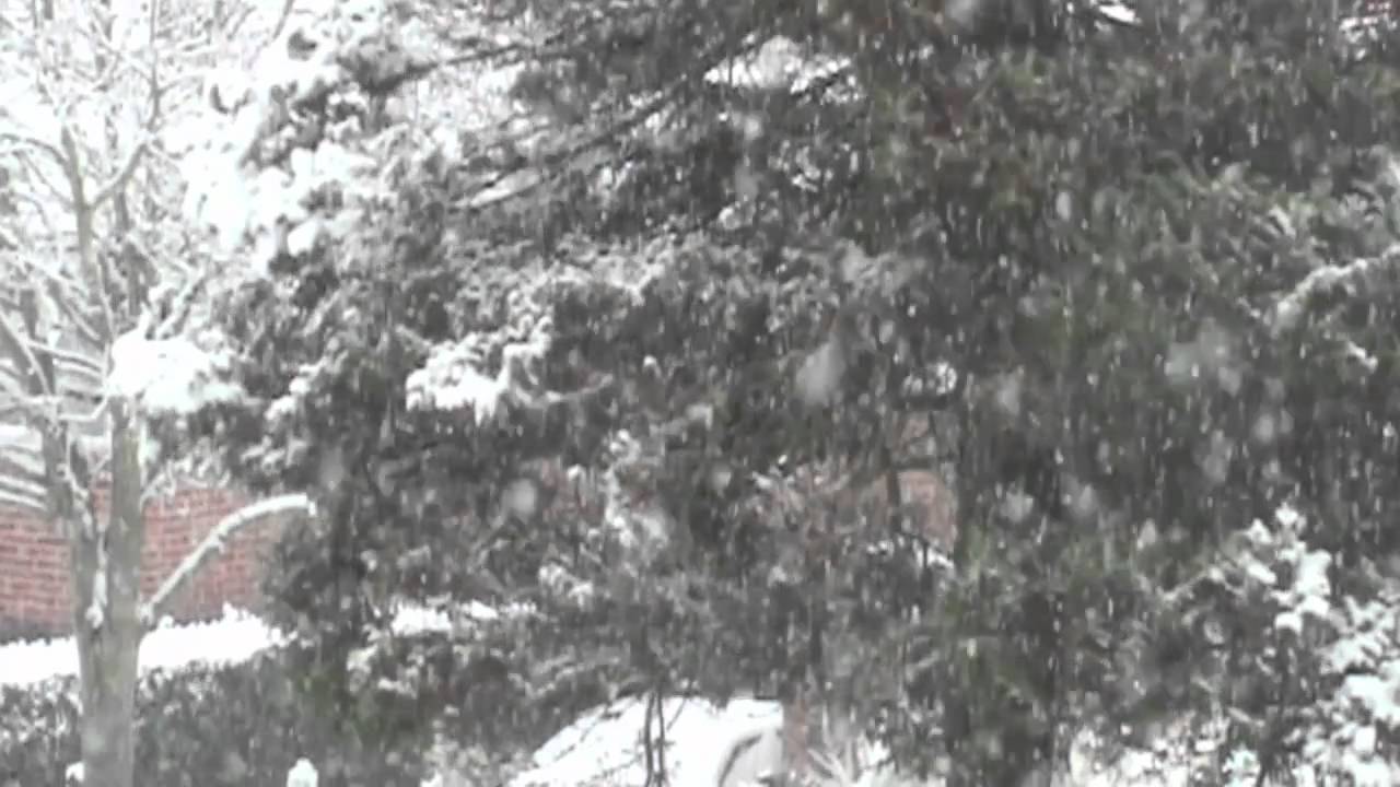 jacky snow - YouTube