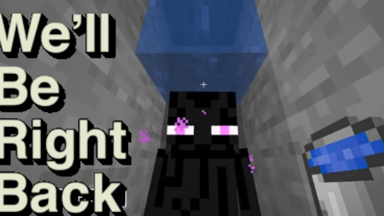 We Will Be Right Back In Minecraft Pocket Edition PART 2: Enderman vs ...