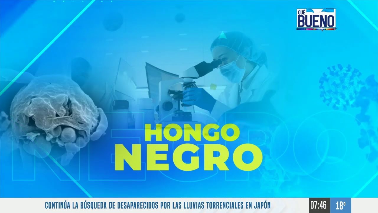 [Análisis] Síntomas y tratamiento del hongo negro - YouTube