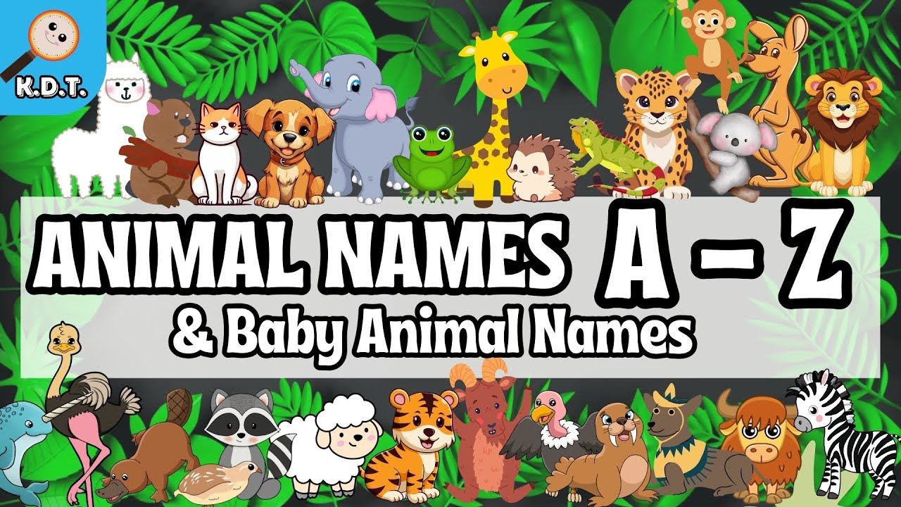 🐣🐤 90 Animal Names & Baby Animal Names from A to Z (Learn the Alphabet ...