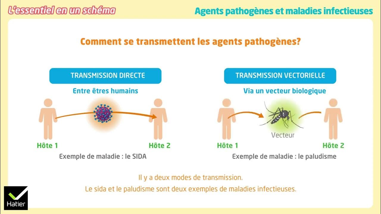 9 1 Schéma bilan Agents pathogènes et maladies infectieuses - YouTube