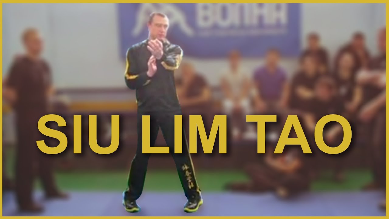 Сиу Лим Тао в деталях для изучающих Вин Чун | Siu Lim Tao - YouTube