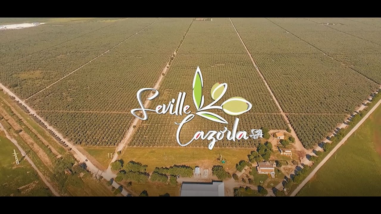 Seville Cazorla - Instalaciones y producción - YouTube