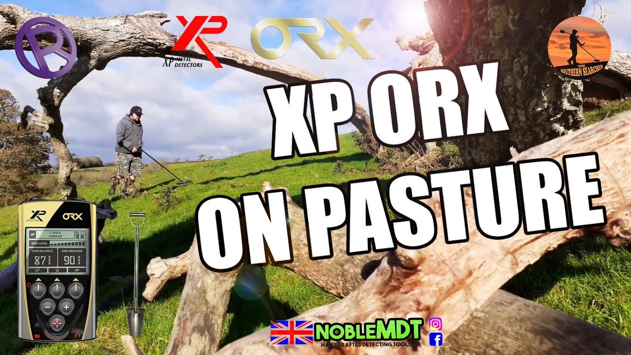 XP ORX ON PASTURE WITH X35 11'' COIL | XP ORX | METAL DETECTING UK ...