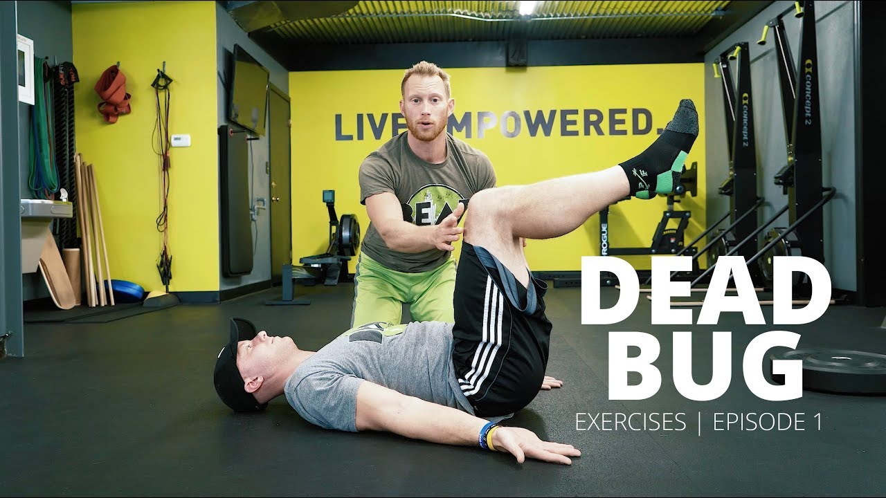What is Dead Bug? | EPISODE 1 - YouTube