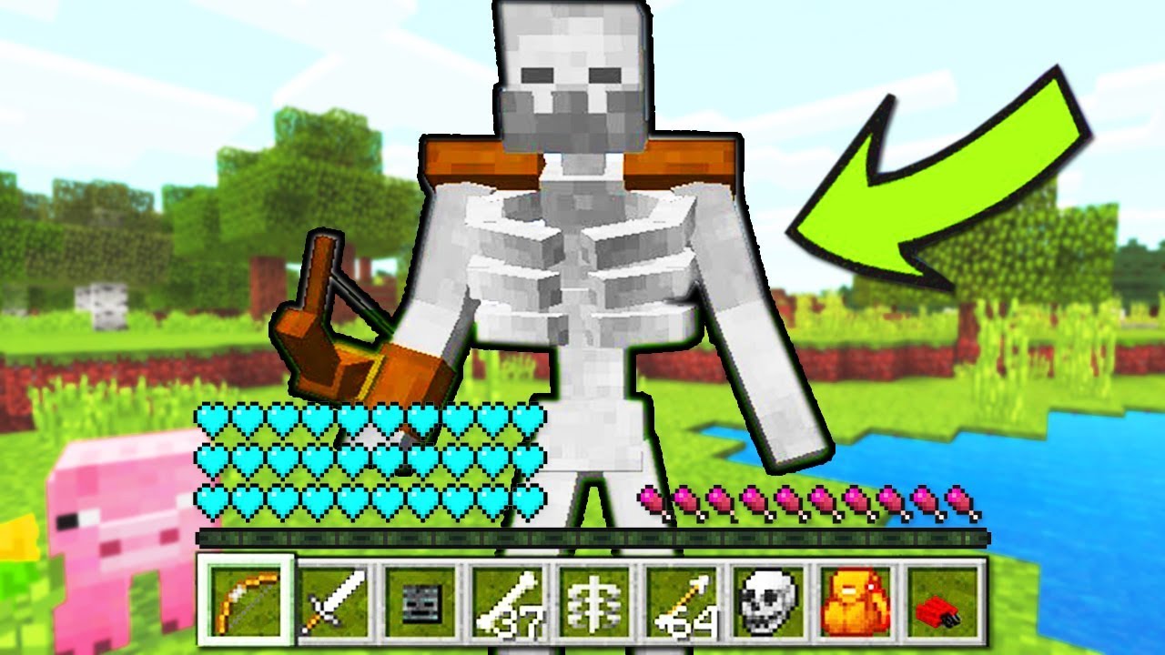 Minecraft - HOW to play SKELETON MUTANT in MINECRAFT : NOOB SKELETON vs ...