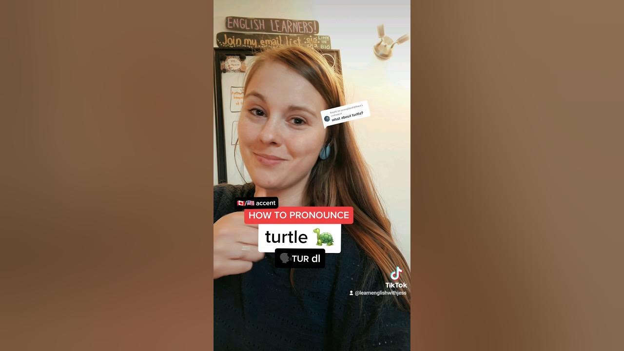 HOW TO PRONOUNCE TURTLE In English With A Canadian American Accent how-to-pronounce-turtle-in-english-with-a-canadian-american-accent