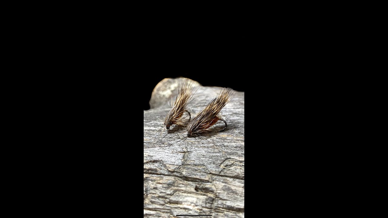 EPIC Caddis Dry Fly - Handsome Caddis - Fly Tying Tutorial - YouTube