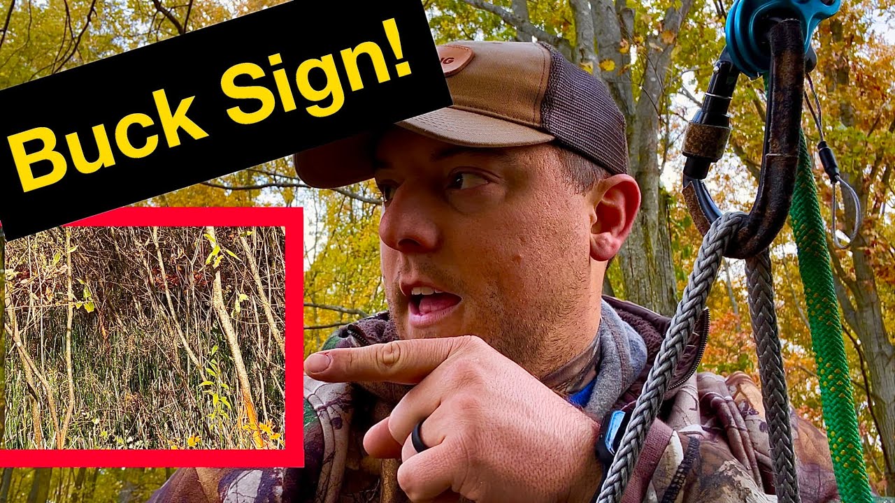 FRESH RUBS! Michigan Saddle hunt near BIG BUCK SIGN - YouTube