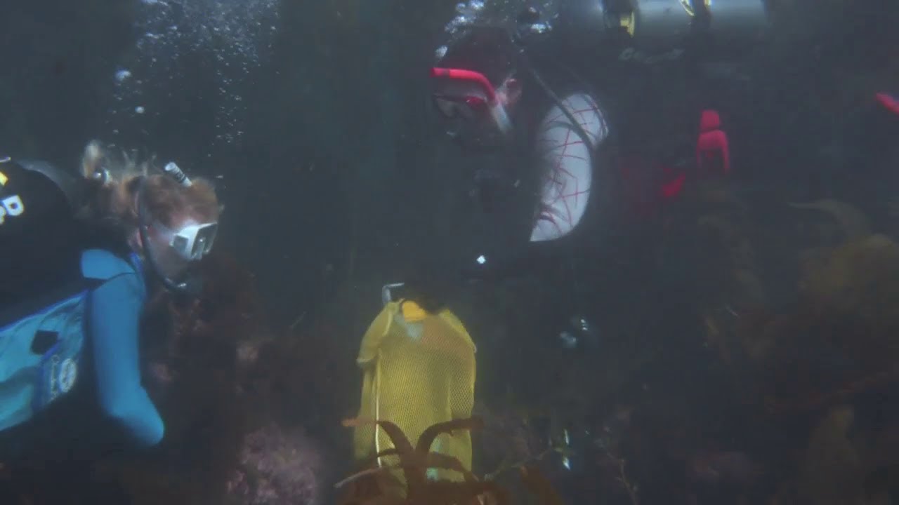 Investigating underwater + drowning battle [Baywatch] - YouTube