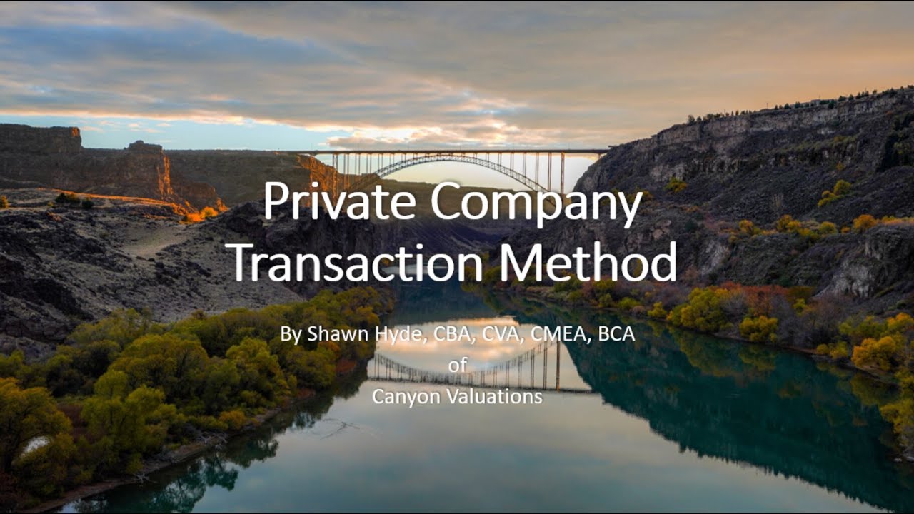 Private Company Transaction Method - Multiple Selection - YouTube