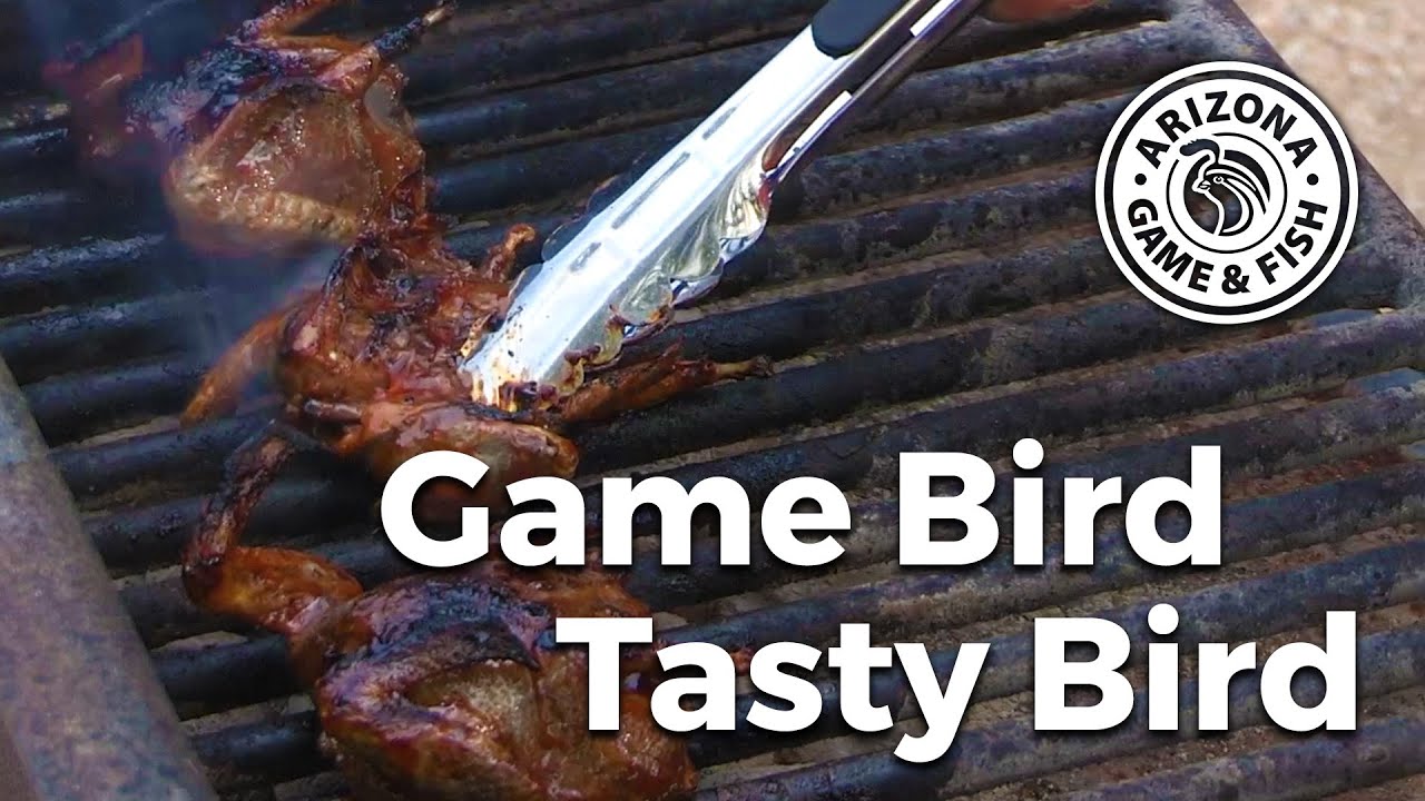 Game Bird! Tasty Bird! - YouTube