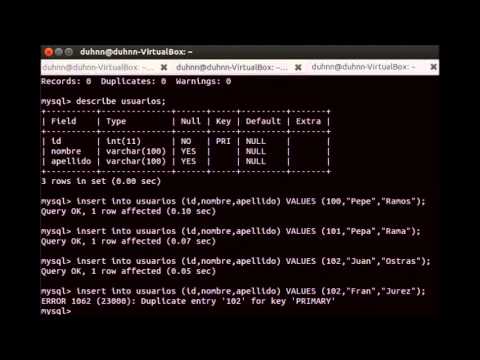 Tutorial bases de datos - Tutorial mysql - Queries - YouTube