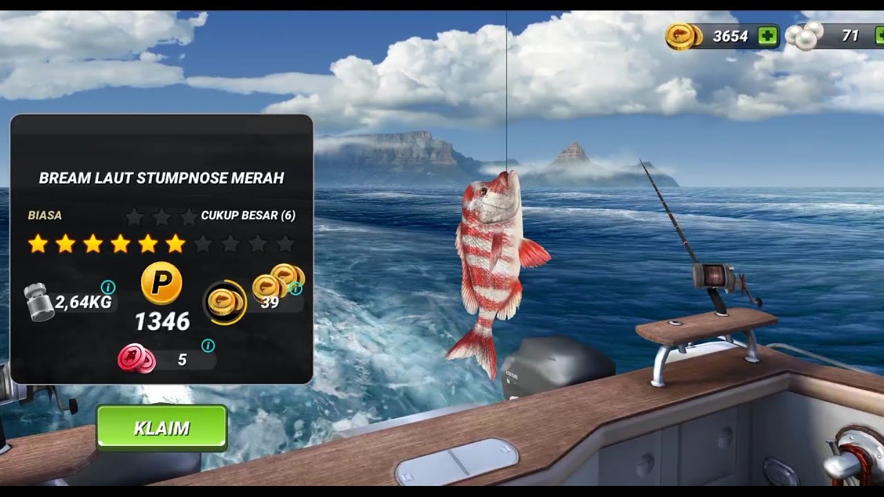 fishing clash: RED STUMPNOSE SEA BREAM - YouTube