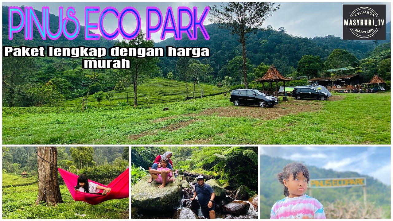 PINUS ECO PARK || CAMPING DI HAMPARAN KEBUN TEH || PUNCAK BOGOR # ...