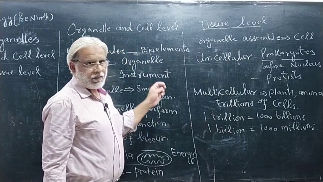 Muhammad kaleem Bio 8Th Lecture 7 - YouTube