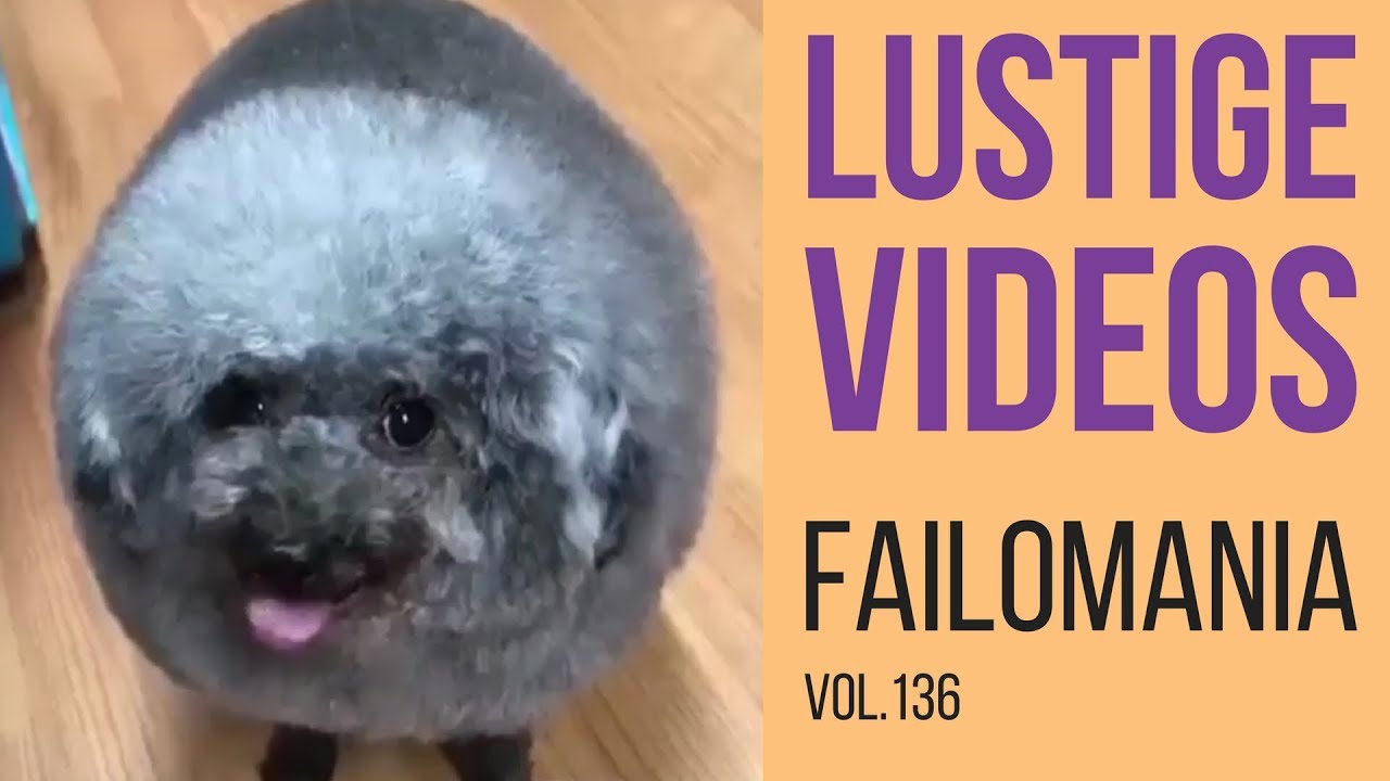 🤣 Lustige Videos 😂 Lustige Videos zum Totlachen 2018! vol.136 ...