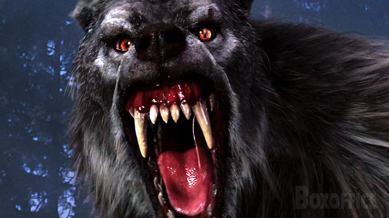 Come intrappolare un lupo mannaro | Van Helsing | Clip in Italiano - YouTube