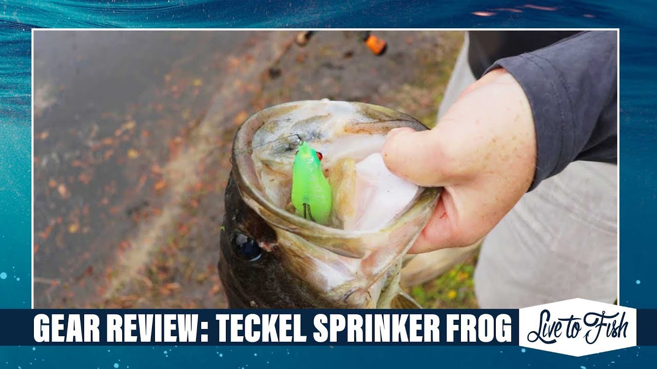 Gear Review: Teckel Sprinker Frog - YouTube