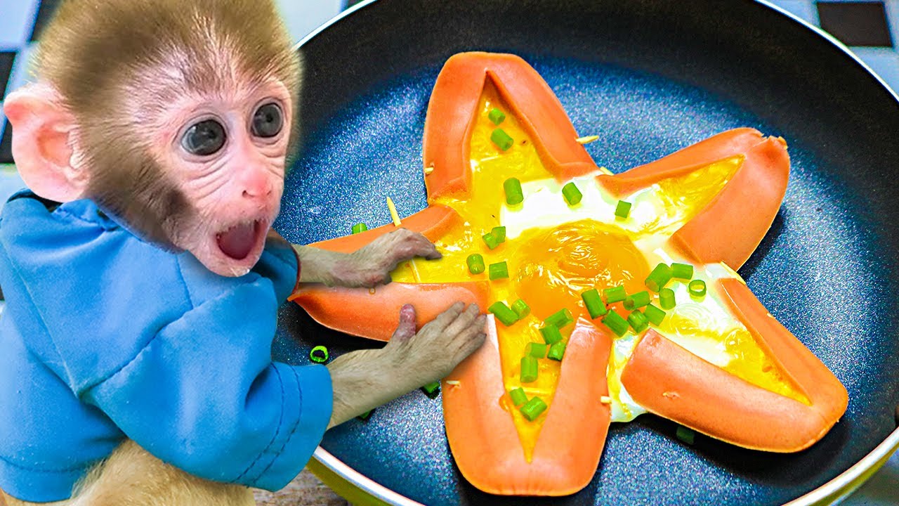 Monkey BOBO Cooking | Fried Monkey With Sausage And Egg - YouTube