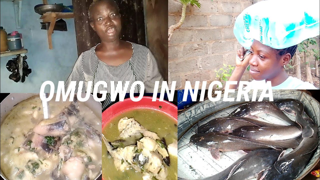 OMUGWO IN NIGERIA 🇳🇬 COOKING OMUGWO SOUP(NSALA SOUP) WITH THE BIGGEST ...