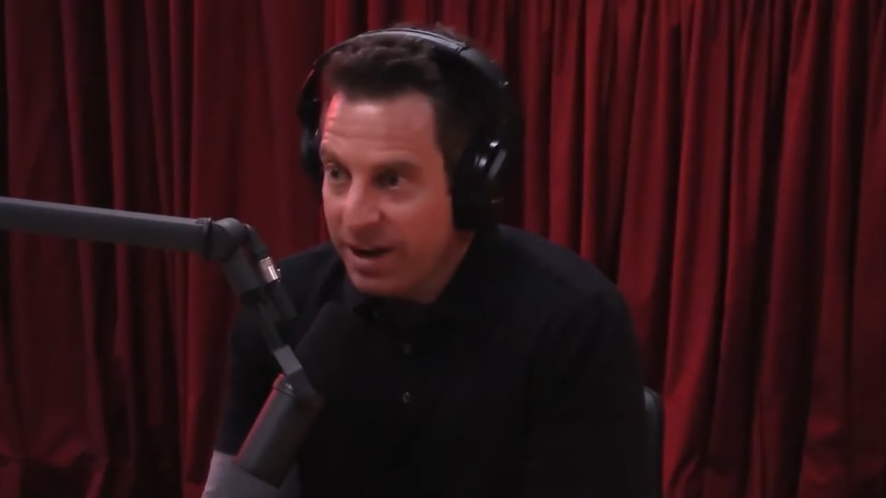 Sam Harris on Donald Trump & Nicki Minaj (2016) - YouTube