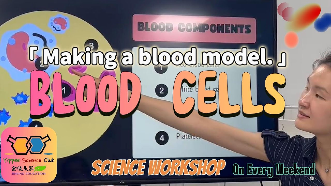 Science Workshop with Kelly on Blood Cells - YouTube