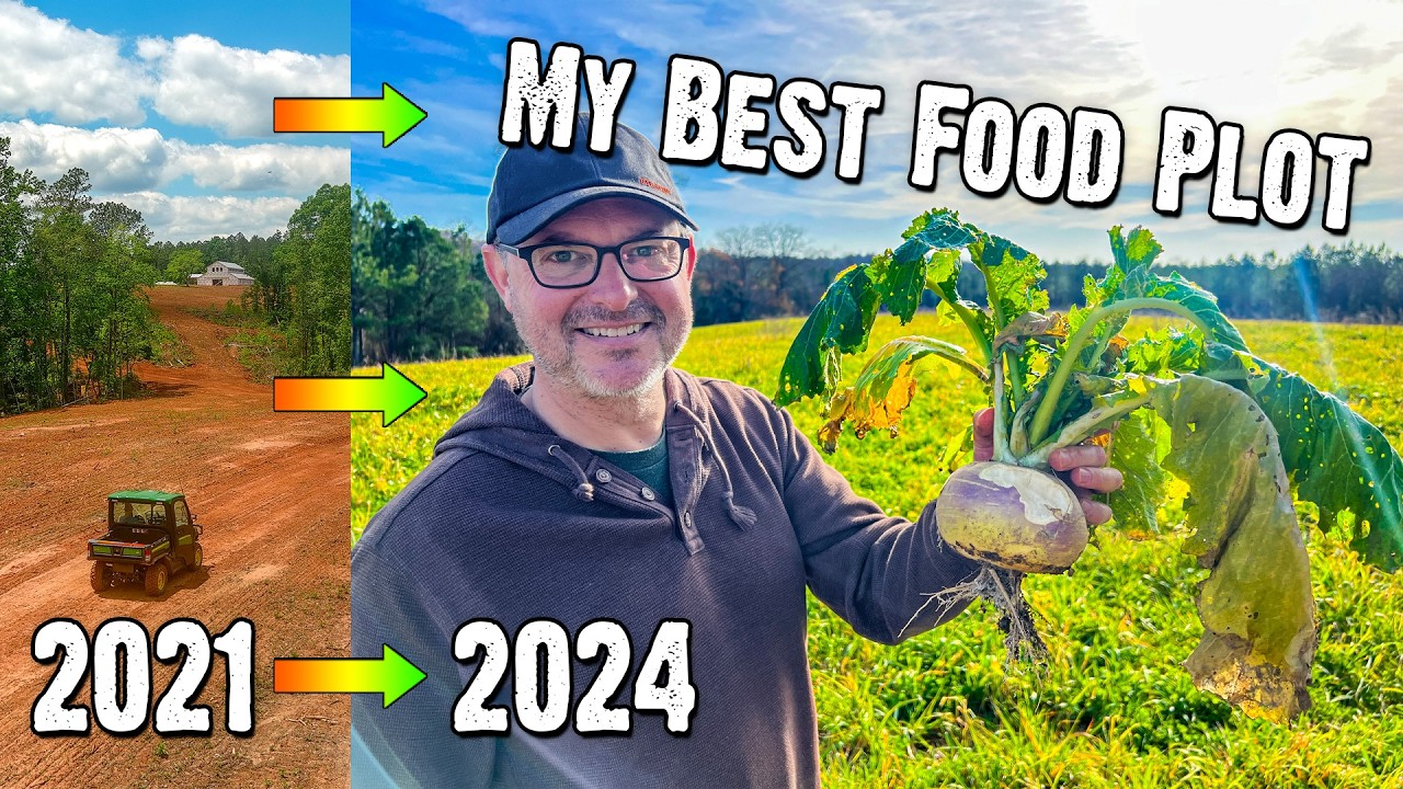 AMAZING Food Plot RESULTS - Transforming Red Clay into Healthy Soil: 4 ...