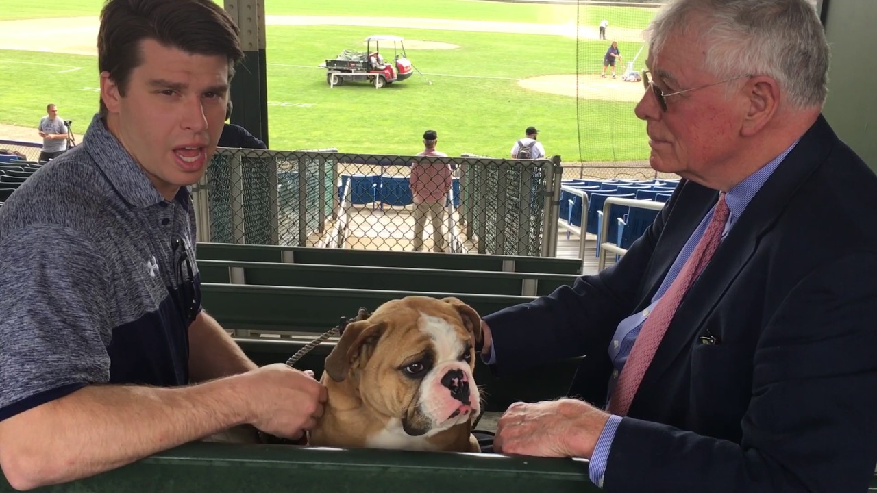 Yale's Handsome Dan XVIII is a new breed of bulldog - YouTube