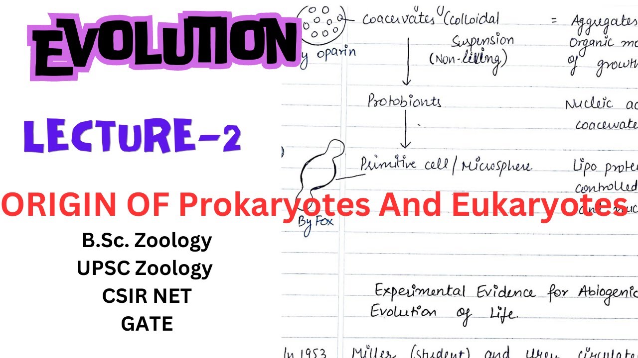 Origin of Prokaryotic and Eukaryotic Cell | Evolution | Zoology | Notes ...