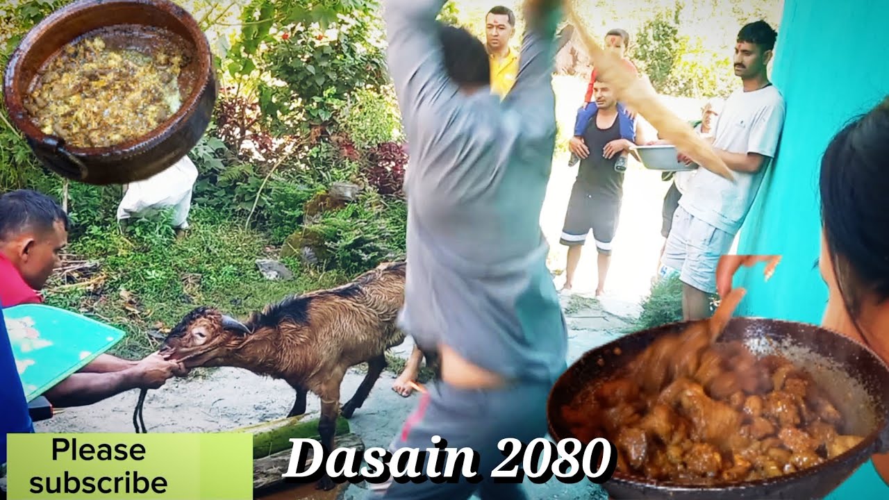 goat cutting at dashain in village|| दसैंमा गाउँ मा|| Nepalese Big ...