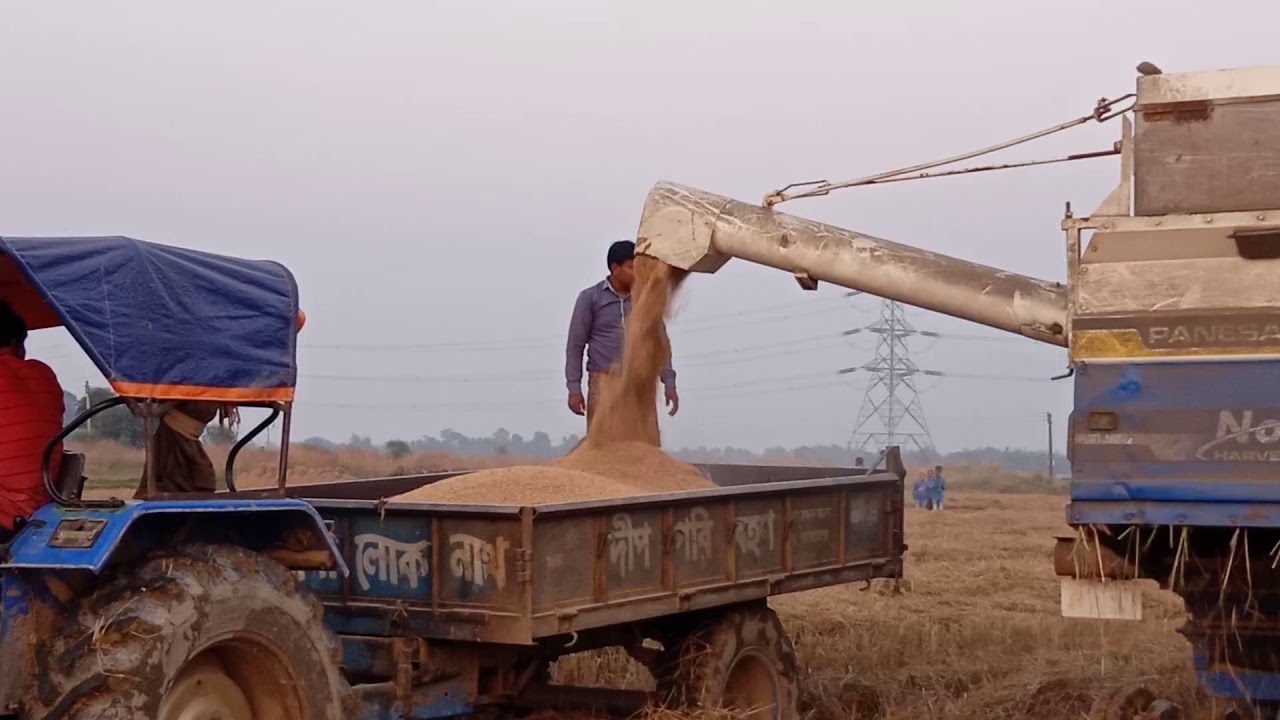 Fermar developed machine.... - YouTube