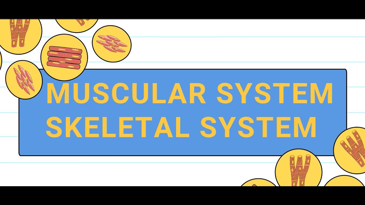 Science4 Quarter 2 Week 1 Muscular and Skeletal System - YouTube