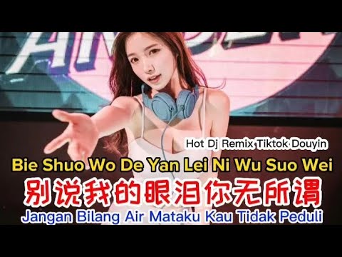 Bie Shuo Wo De Yan Lei Ni Wu Suo Wei 别说我的眼泪你无所谓 - Jangan Bilang Air Mataku Kau Tidak Peduli ...