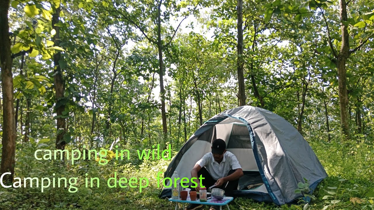 Camping in deep forest | Camping in forest of Assam | Rain camping ...