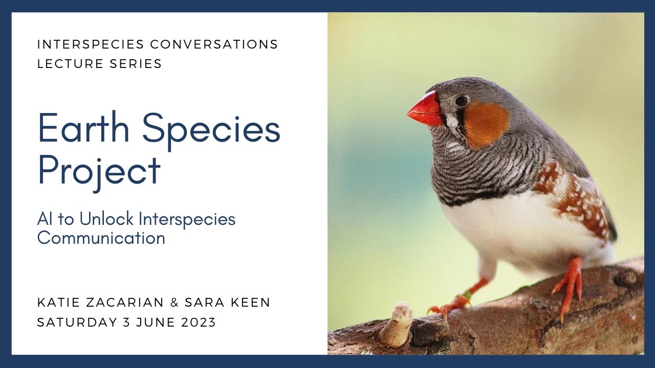 AI to Unlock Interspecies Communication, Earth Species Project - YouTube