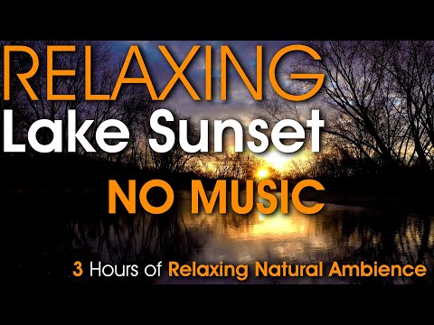 3 Hour Relaxing Beautiful Sunset over a Calm Lake with Soothing Sounds of Nature [No Music]