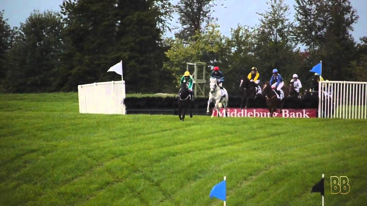 2011 Virginia Fall Races - The Smithwick Memorial Stakes - YouTube