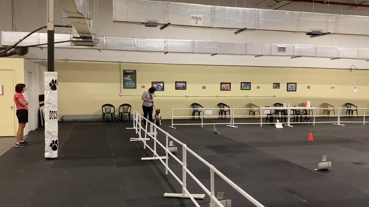 Virtual Rally Novice Course 3 submission - YouTube