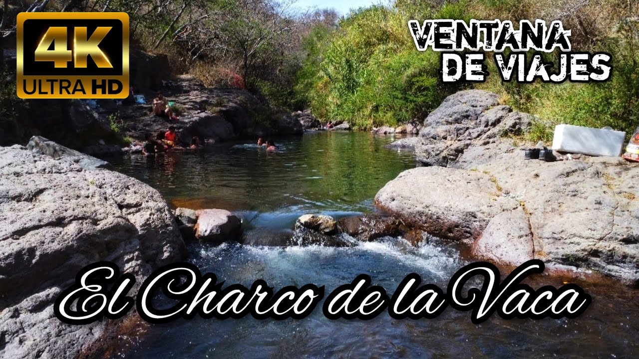 El charco de la vaca, rio termal, Cuquío, Jalisco, México. Ventana de ...