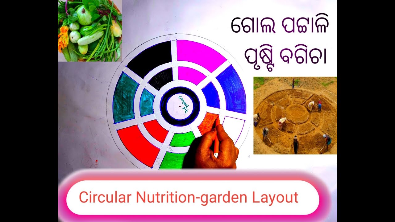 Circular Nutrition Garden Layout - YouTube