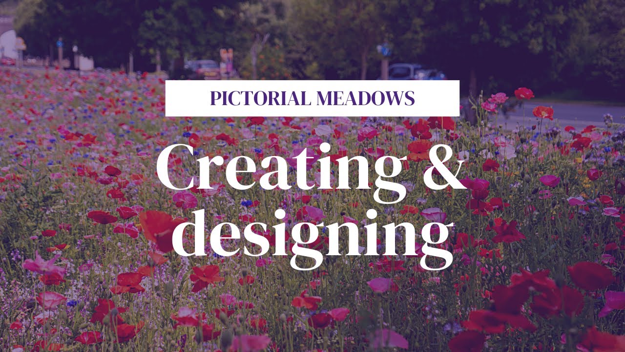 Pictorial Meadows | Creating & Designing - YouTube