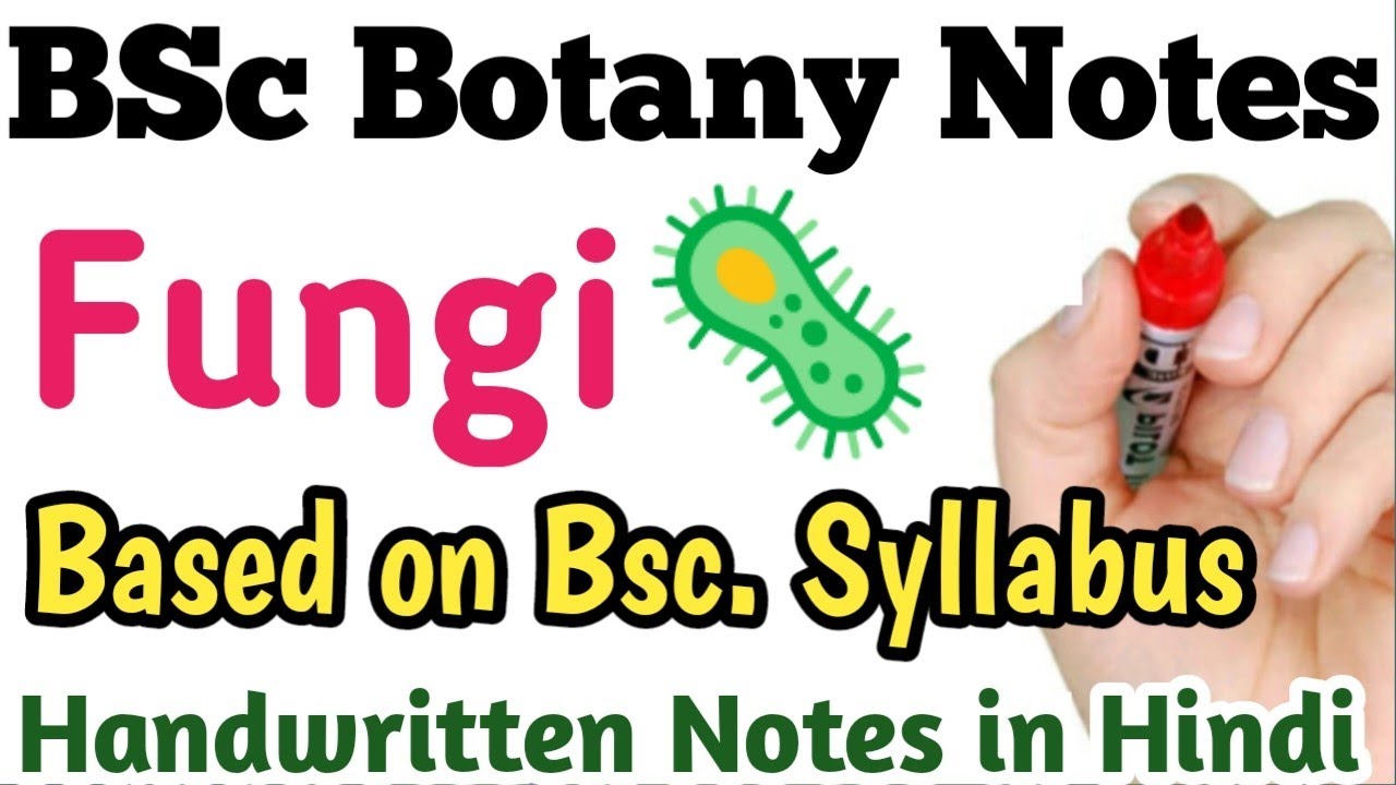 FUNGI #BSc Botany Handwritten notes in English - YouTube